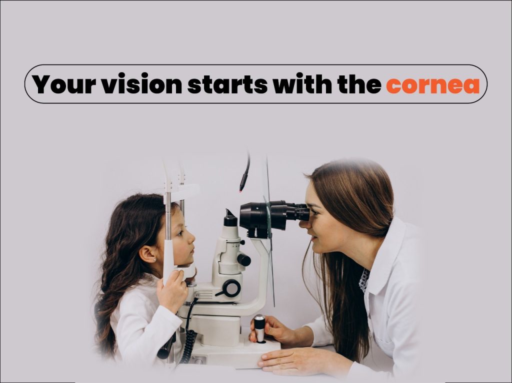 Understanding The Cornea Your Eye S Window To The World